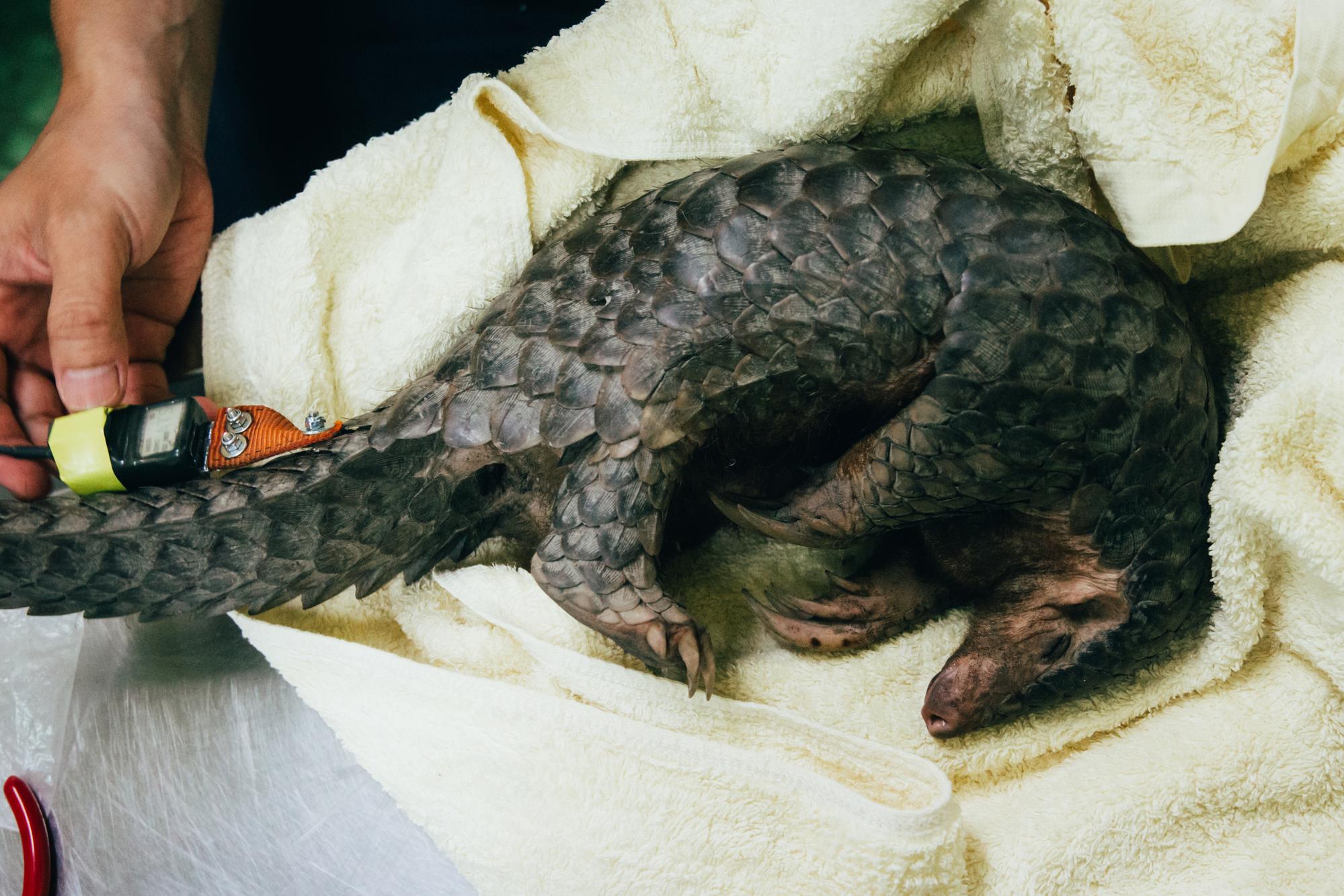 How Did Taiwanese Researchers and Citizens Collaborate to Create World ...